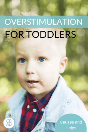 Overstimulation in Toddlers: What To Do - Babywise Mom