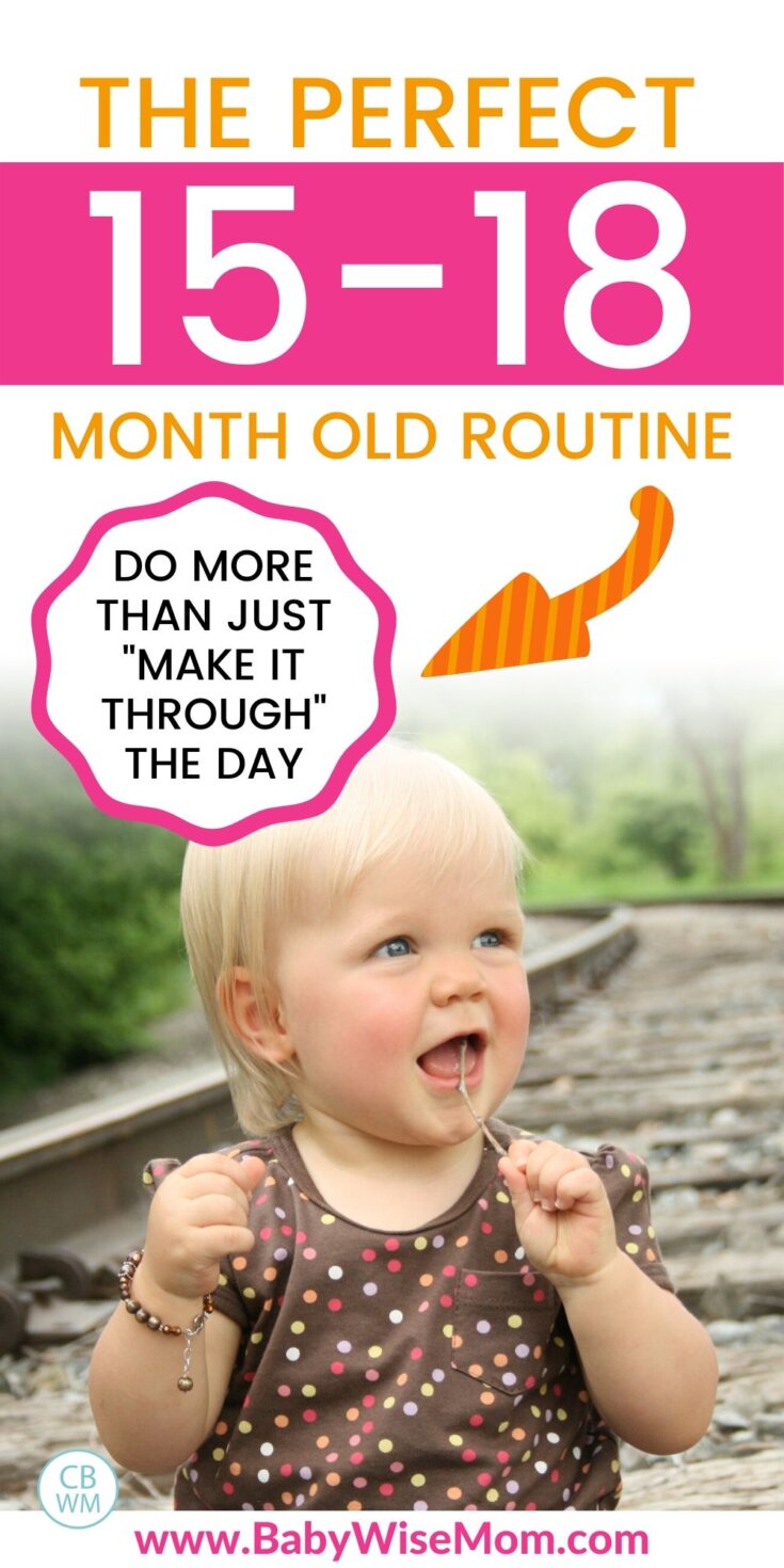 Structuring a Pretoddler's Day: 15-18 Months Old - Babywise Mom