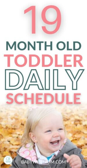 McKenna Toddler Summary: 19 Months Old - Babywise Mom