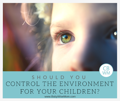 Should You Control the Environment for Your Children - Babywise Mom