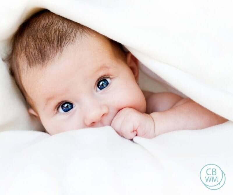 BabyWise Mom - Chronicles of a Babywise Mom