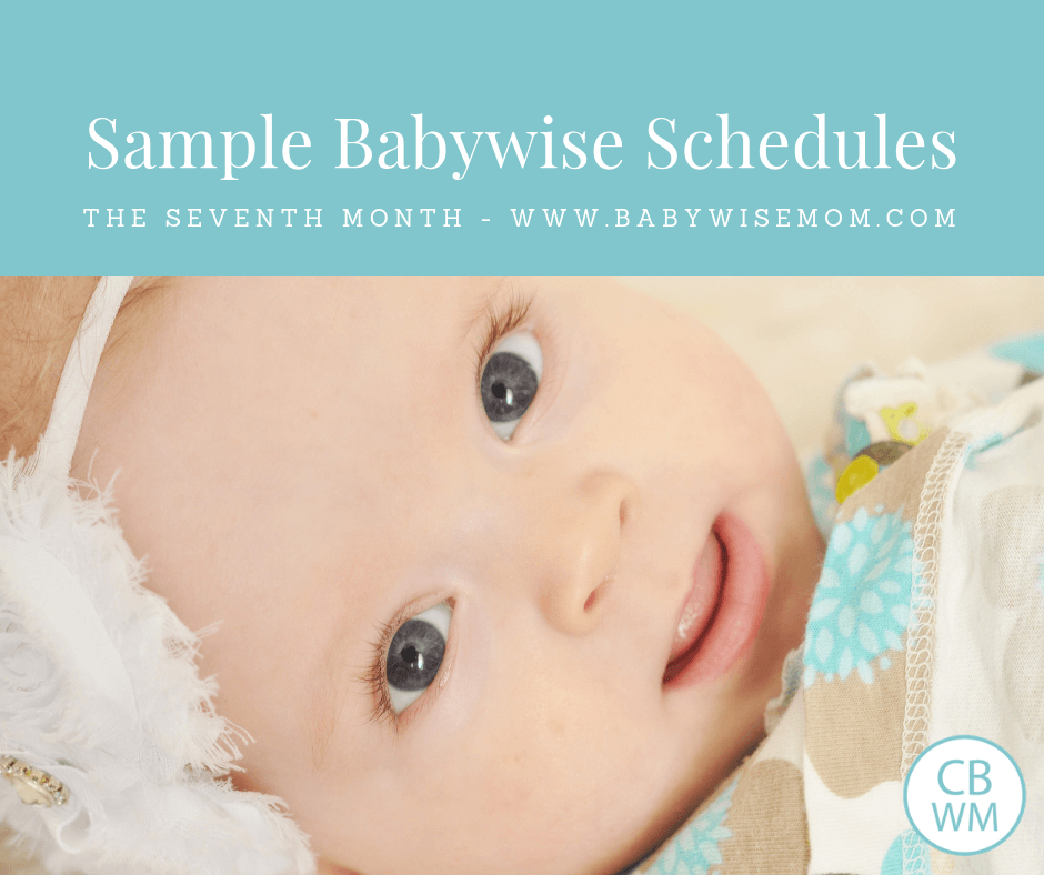 Chronicles of a Babywise Mom - Implementing the -Wise Series